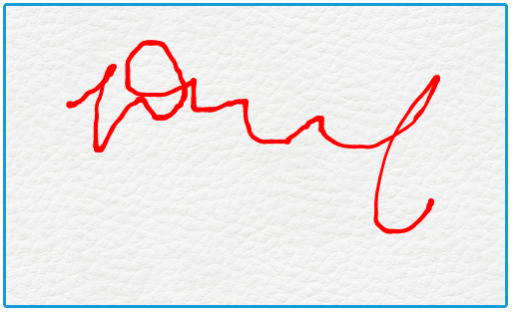 signature customization