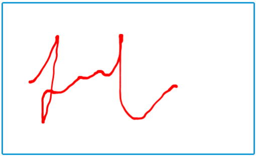 signature customization