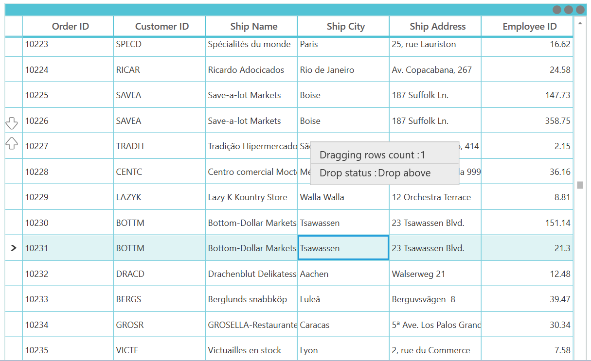 Row Drag And Drop In WPF DataGrid Control Syncfusion